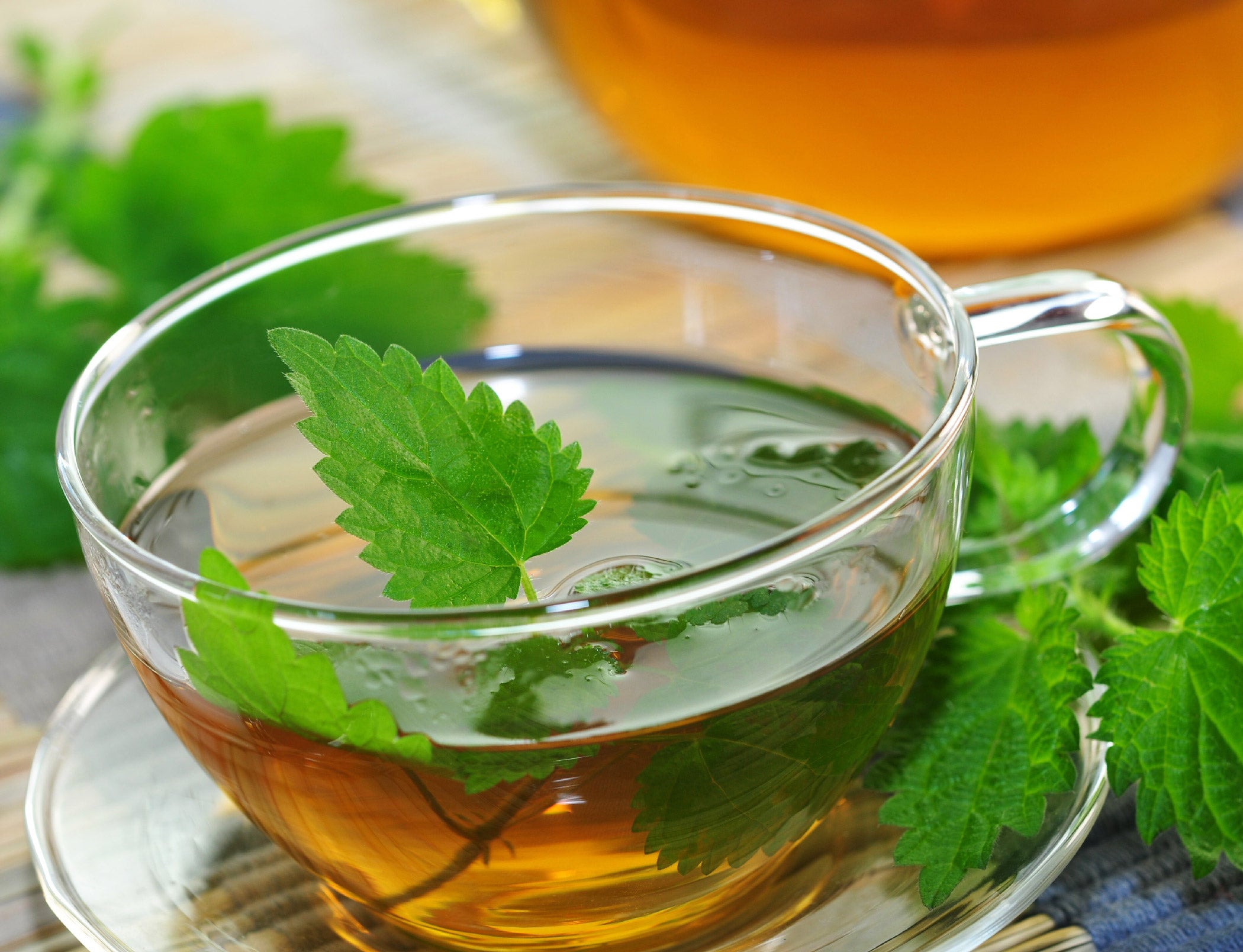 L'ortie : une plante aux multiples vertus à redécouvrir – Odyssey